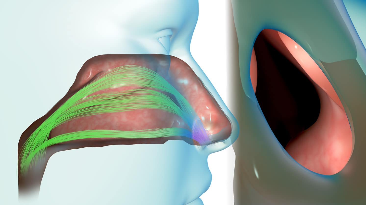 Vivaer Procedure | Boulder Valley Ear, Nose & Throat